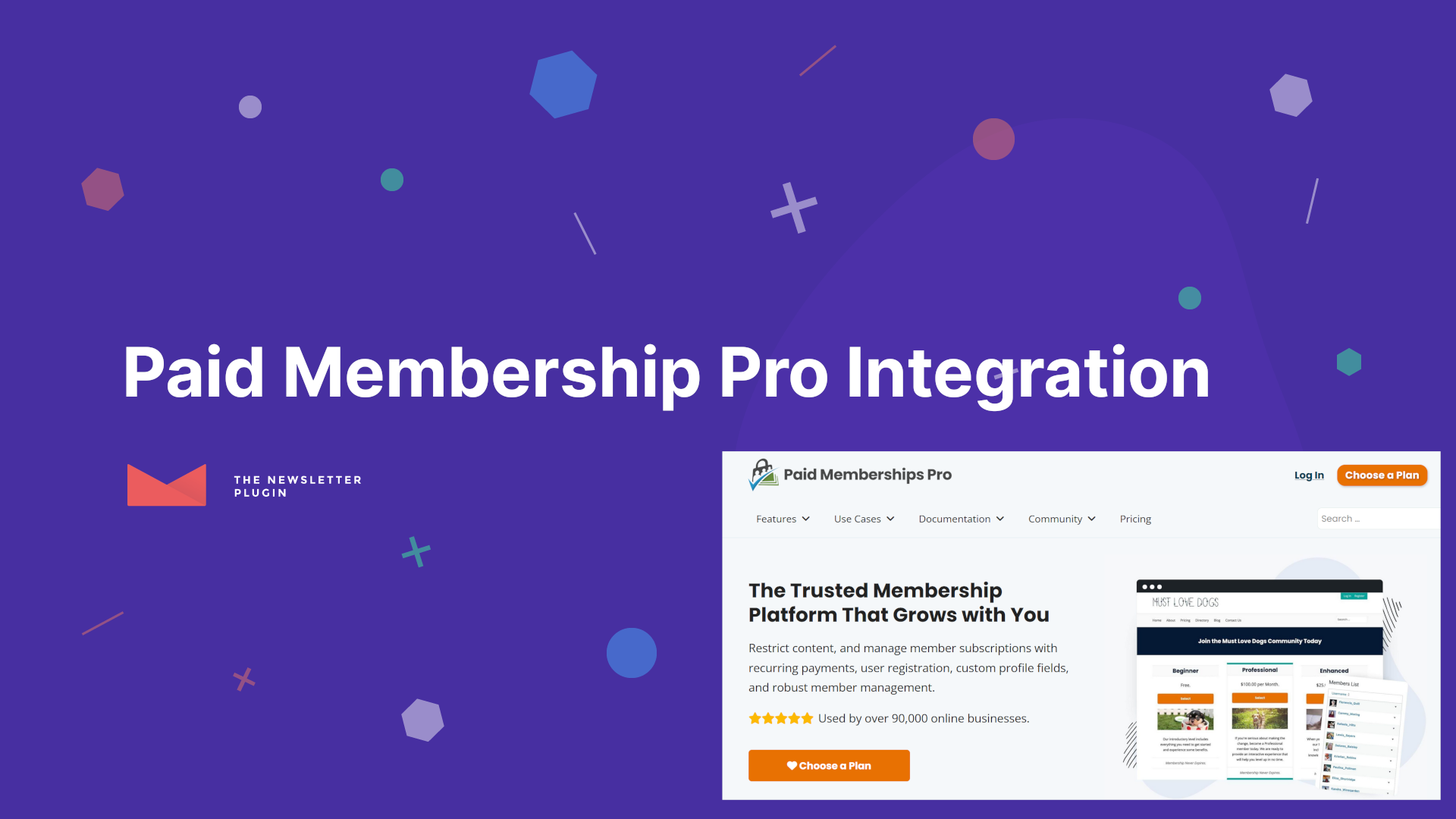 Paid Membership Pro Addon - TNP